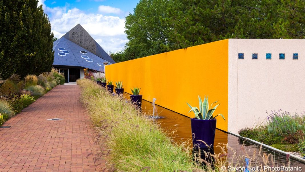 Denver Workshop - Find The Photo - Photobotanic