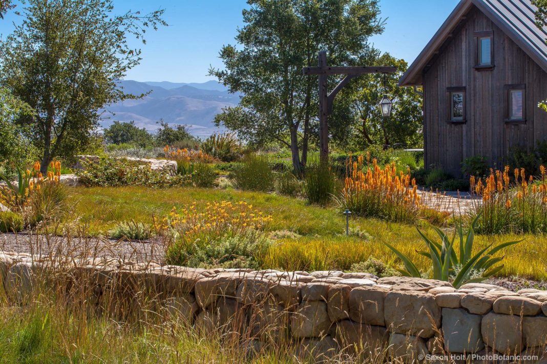 Bioswales and Green Infrastructure - Photobotanic