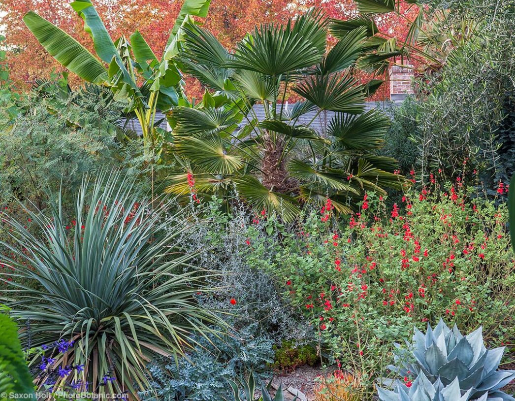 Autumn in Western Gardens - Photobotanic