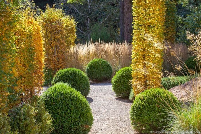 Autumn in Western Gardens - Photobotanic