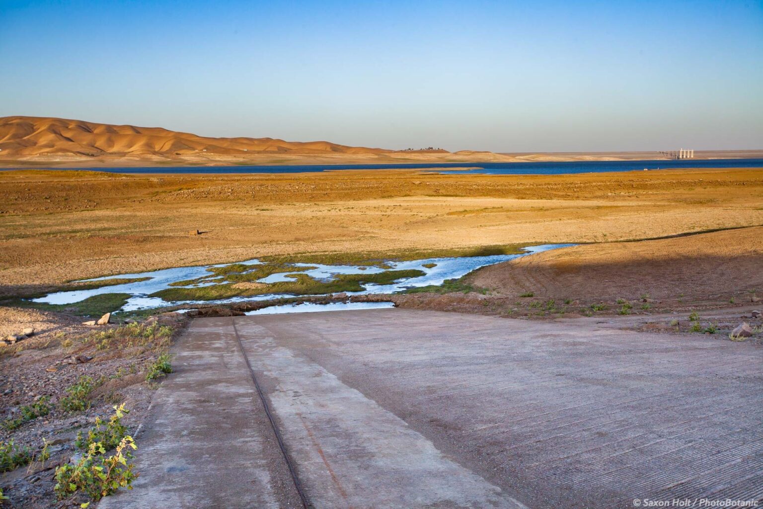 Dry Reservoirs - Photobotanic